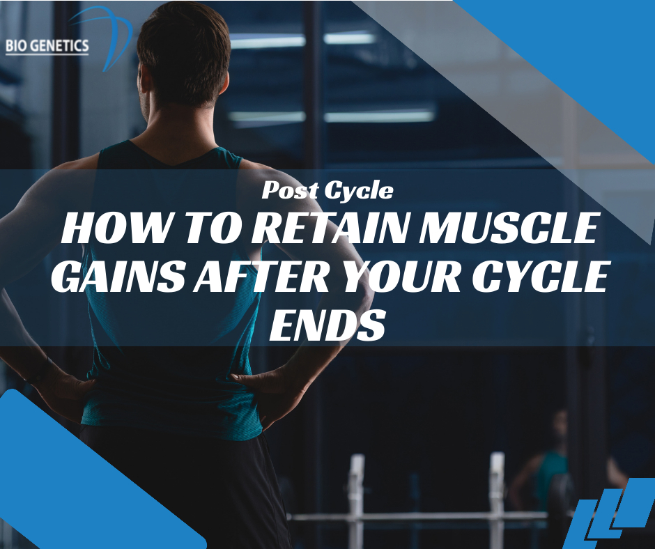 How to Retain Muscle Gains After a Cycle | Bio Genetics USA